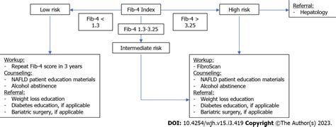 To Scan Or Not To Scan Use Of Transient Elastography In An Integrated