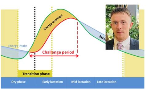 Unlocking Genetic Potential