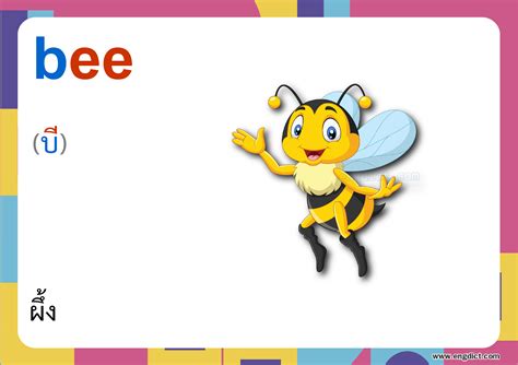 🍩 ฝึกอ่านคำศัพท์ภาษาอังกฤษ A Z Engdict เรียนภาษาอังกฤษ Facebook