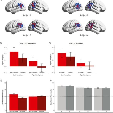 Univariate Roi Analysis And Multivoxel Pattern Analysis Mvpa To Download Scientific Diagram