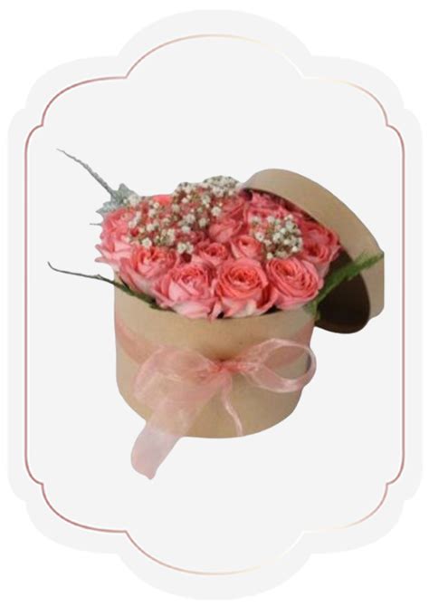 Giada Flores Colombia