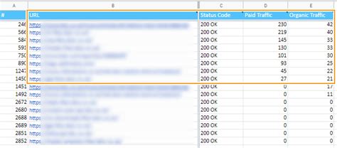 What Seo Audits You Can Do In Netpeak Spider Netpeak Software Blog