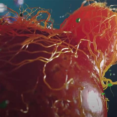 Abu Bakar Qlik Sap Java Power Platform Power Bi On Linkedin Socialmedia Automation