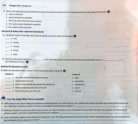 138 Chapter Six Integument 12 Which Of The Following Correctly Identifies The Product Of