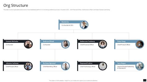 Org Structure Data Structure Software Company Investor Pitch Deck Ppt