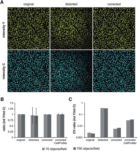 Application Of Vignetting Correction Restores Object Intensity And Download Scientific Diagram