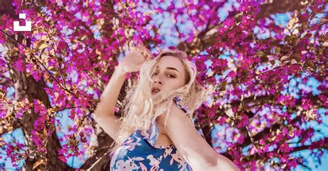 낮 동안 분홍색 벚꽃 나무에 누워 있는 파란색과 흰색 꽃 드레스를 입은 여자 사진 Unsplash의 무료 유행 이미지