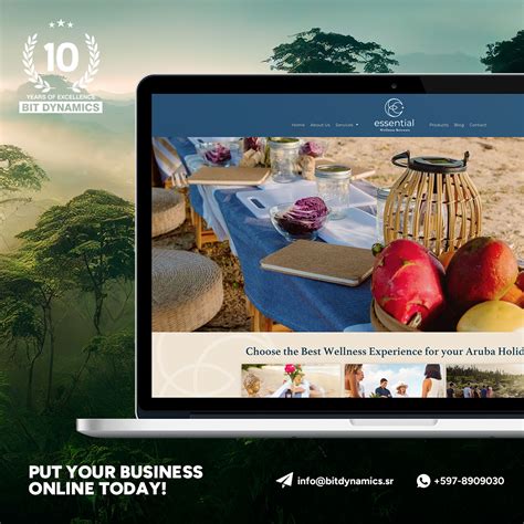 Bit Dynamics Nv Experience Suriname