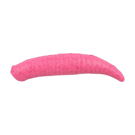 Shop Worms Berkley® Worm Bait For Freshwater And Saltwater
