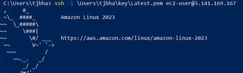 Connecting To And Configuring Aws Ec2 Instances Using Powershell And Aws Cli Dev Community