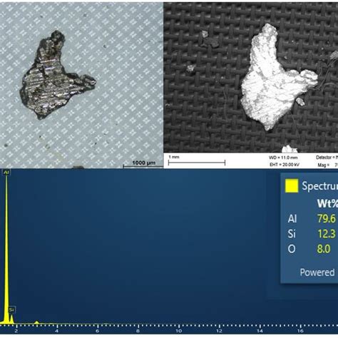 Comparison Of Particle View From Light Microscopy Upper Left And Download Scientific Diagram