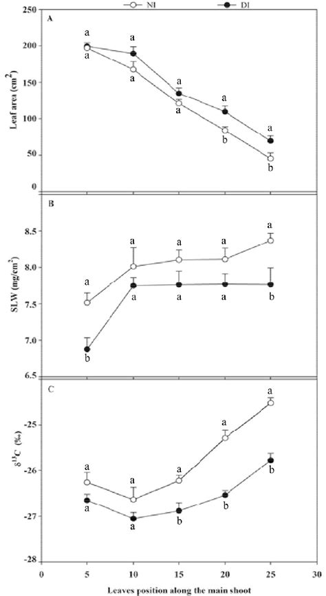 A Leaf Area B Specific Leaf Weight Slw And C Carbon Isotope Download Scientific Diagram