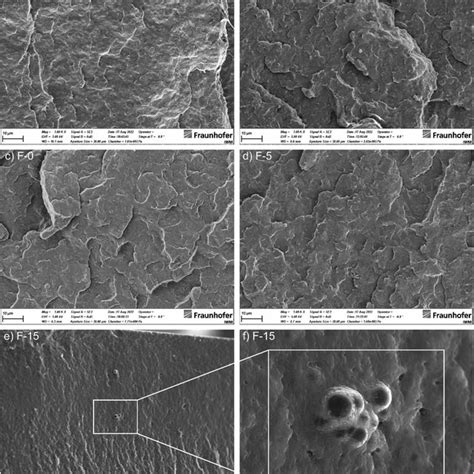 Sem Micrographs Of Brittle Fractures Of A C0 B C3 C F0 D F5 Download Scientific