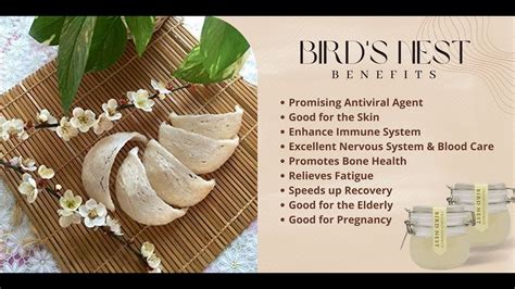 What Are The Benefits Of Birds Nest Consumption Youtube