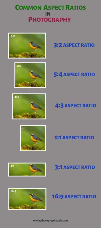 Aspect Ratio Which Is Best For Your Images Photographyaxis