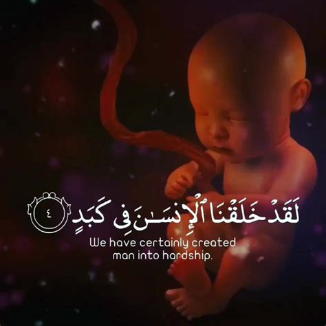 ولقد خلقنا الإنسان في كبد للشعراوي، خلق الله الإنسان في مكابدة