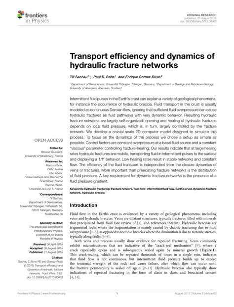 Pdf Transport Efficiency And Dynamics Of Hydraulic Fracture Networks