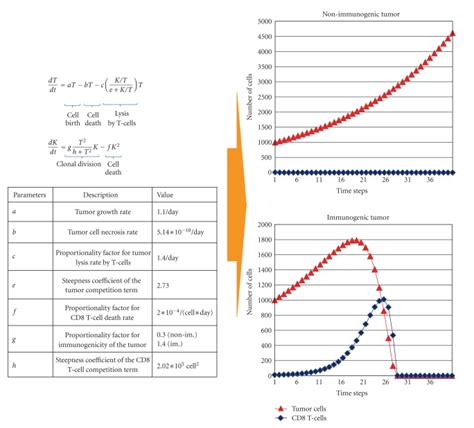 Differential Equations System A Simplified Differential Equations