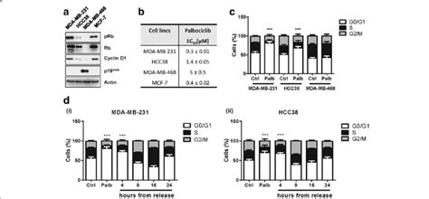 Palbociclib Inhibits Cell Proliferation Through G0 G1 Cell Cycle Download Scientific Diagram