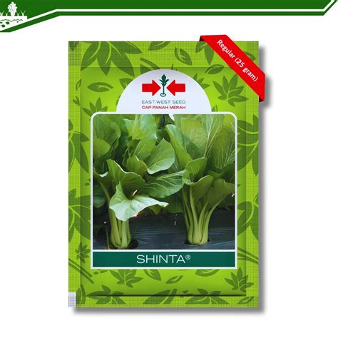 Jual Benih Sawi Caisim Shinta Cap Panah Merah 25 Gram Biji Cesim Shopee Indonesia