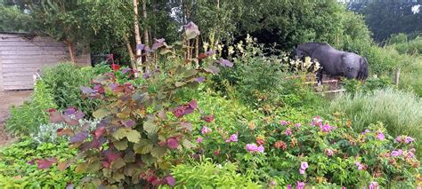Hippo Sofia Academie We Kunnen Natuurlijk Ook Buiten Gaan Oefenen Als