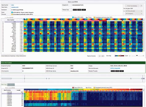 Transcriptome RNA Sequencing Heat Maps The Transcriptome Heat Map Is A