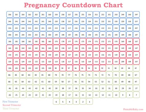 Pregnancy Countdown Chart Download Printable Pdf Templateroller