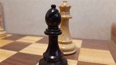 Шахматы Ловушка для пули Слон ловит ферзя за 1 ход Играйте правильно Youtube