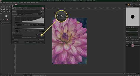 گیمپ چیست؟ با جایگزین رایگان فتوشاپ آشنا شوید زومیت