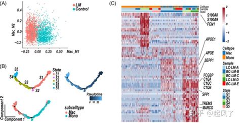 帮大家分析一篇单细胞测序研究乳腺癌和肺癌转移的纯生信文章，可复现。 知乎