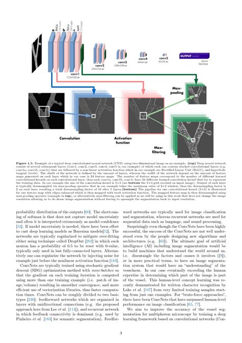 Deep Learning Convolutional Networks For Multiphoton Microscopy Vasculature Segmentation DeepAI