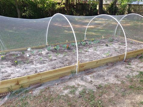 Pvc Hoop Raised Bed Garden