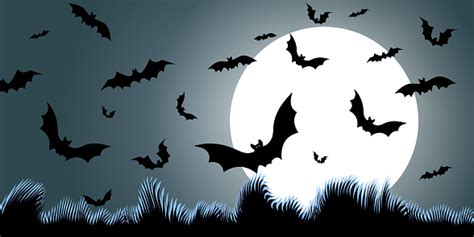 벡터 밤 보름달과 박쥐 가지 수평 배경 다채로운 무서운 볼륨 할로윈 일러스트 할로윈 파티 초대 카드 모의 해피 할로윈 배너 디자인 묘비에 대한 스톡 벡터 아트 및 기타