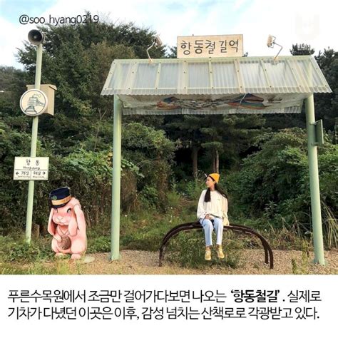 반려생활 댕댕이와 산책하기 좋은 봄 산책로 ①