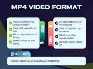 MP File Format Mp M P With DRM M V Definition Uses History Vodpod