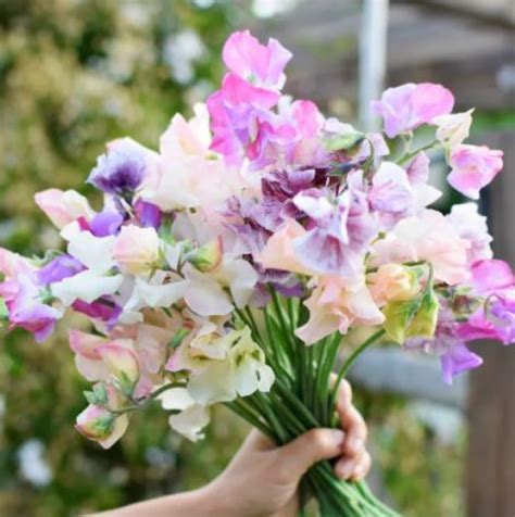 Хороскоп за утре 19 юли РАК Силен късмет и висока нервност ОВЕН Личен и делови успех За Жената