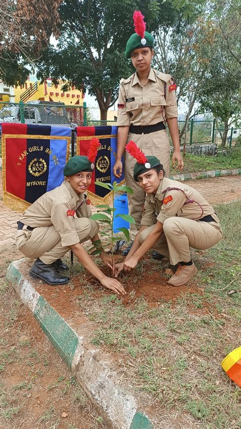 Tree Plantation India NCC