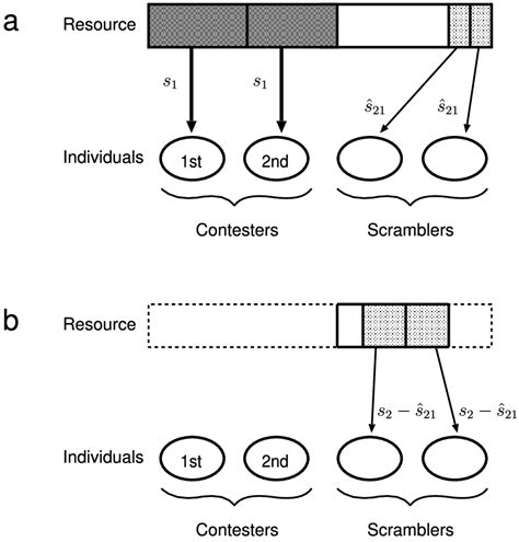 Illustration Of Resource Partitioning In A Site For The Case Of Contest Download Scientific