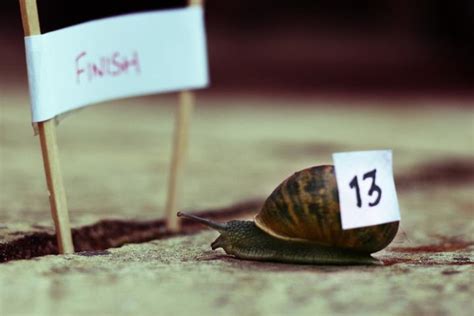 为什么 Python 这么慢？ 知乎