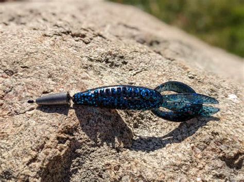 Master The Art Of Texas Rig Fishing For Bass Slamming Bass