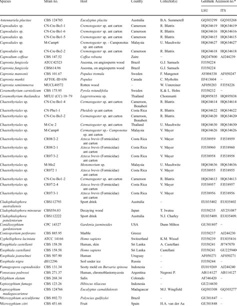 Lsu And Its Rdna Sequences Included In This Analysis Which Were Download Table