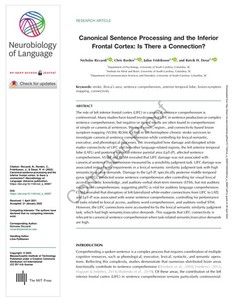 Pdf Canonical Sentence Processing And The Inferior Frontal Cortex Is There A Connection