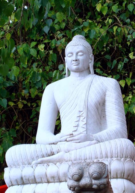 ☸️🌼මාගේ ස්වාමි වු බුදු රජාණන් වහන්සේ Sri Lanka Buddhist Facebook