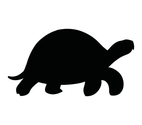 African Helmeted Turtle Vector Illustration On White Background 37368430 Vector Art At Vecteezy