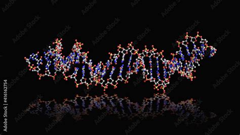 Dna Strand Or Aptamer Sitting On Reflective Surface Against Black Background Double Stranded