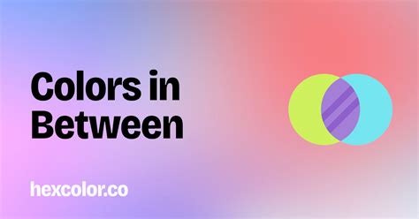 Colors In Between Explore The Spectrum