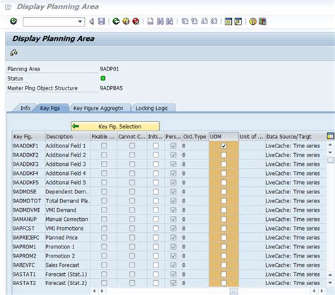 Setting Up Alternate UoM As Default In Data View SAP Community
