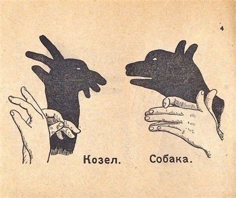 Театр теней: как показывать фигуры животных руками - Занятия и игры для ...