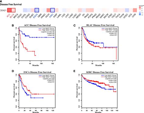 Frontiers Pan Cancer Analysis Reveals Ddx21 As A Potential Biomarker