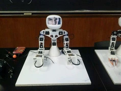 Un Projet étudiant Des Mains Pour Poppy Torso Poppy Education